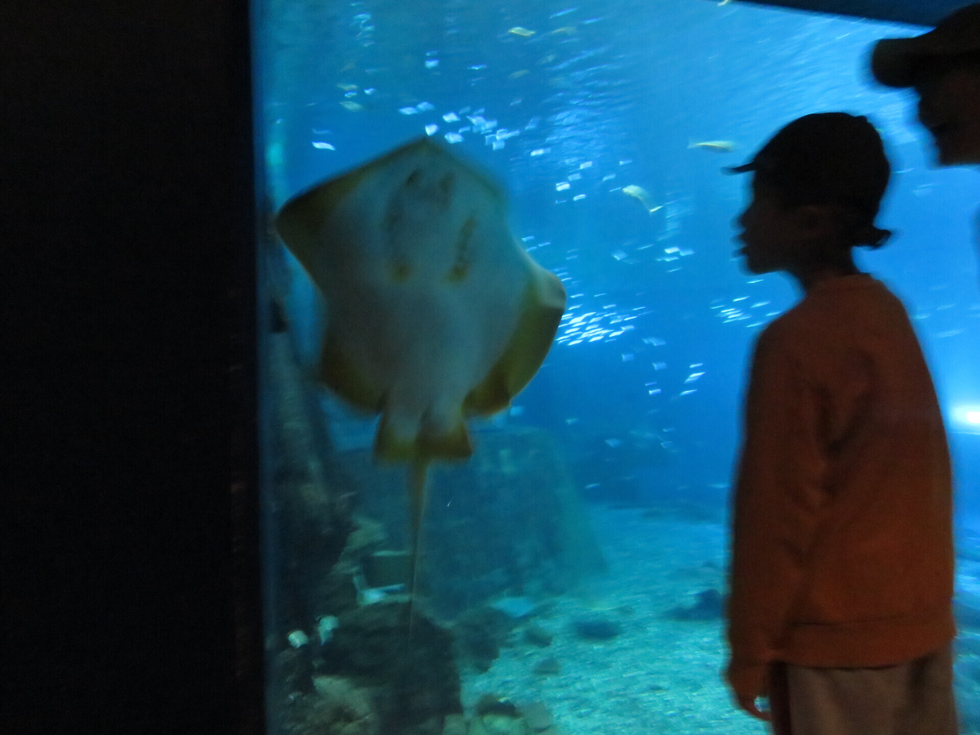 孫との小旅行: もしもの老子